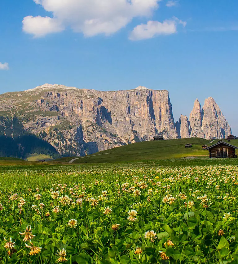 Seiser Alm in den Dolomiten - Südtirol